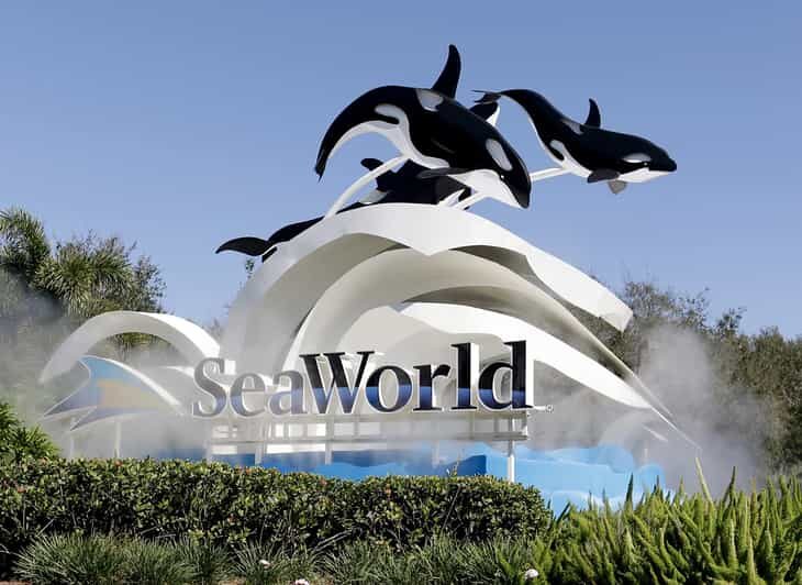 Orlando: SeaWorld Shuttle Service - Comfort and Convenience