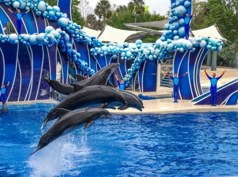 Orlando: SeaWorld Shuttle Service - Frequently Asked Questions
