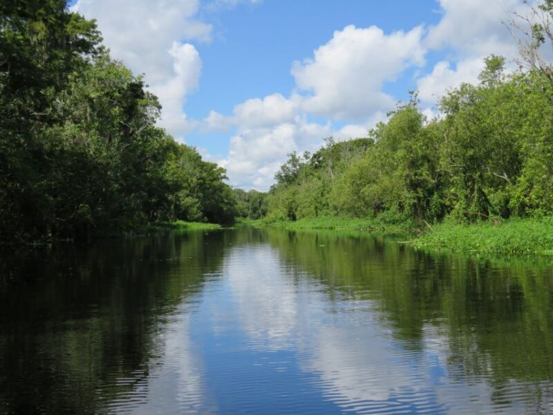 Orlando: Small Group Manatee Discovery Kayak Tour - An In-Depth Look at the Experience