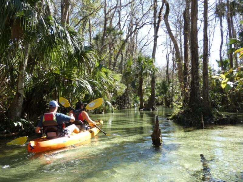 Orlando: Small Group Rock Springs Run Kayak Tour - Final Thoughts