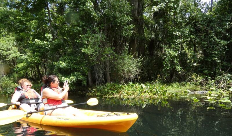 Orlando: Small Group Rock Springs Run Kayak Tour - FAQ