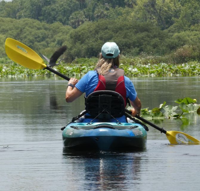 Orlando: Small Group Scenic Wekiva River Kayak Tour - An In-Depth Look at the Wekiva River Kayak Tour