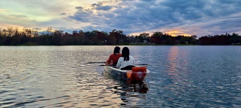 Orlando: Sunset Clear Kayak or Paddleboard in Paradise Tour - What to Expect on the Water
