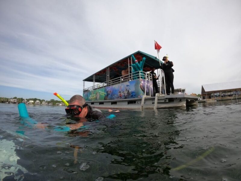 Orlando: Swim with Manatees and Homosassa State Park Visit - The Practical Side: Value and Considerations