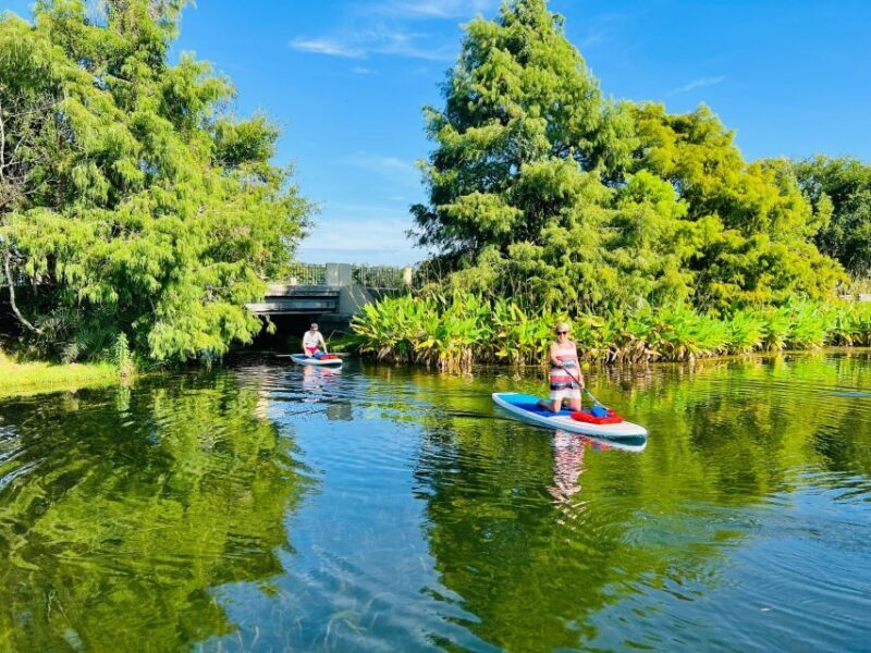 Orlando: Urban Clear Kayak or Paddleboard in Paradise - Final Thoughts