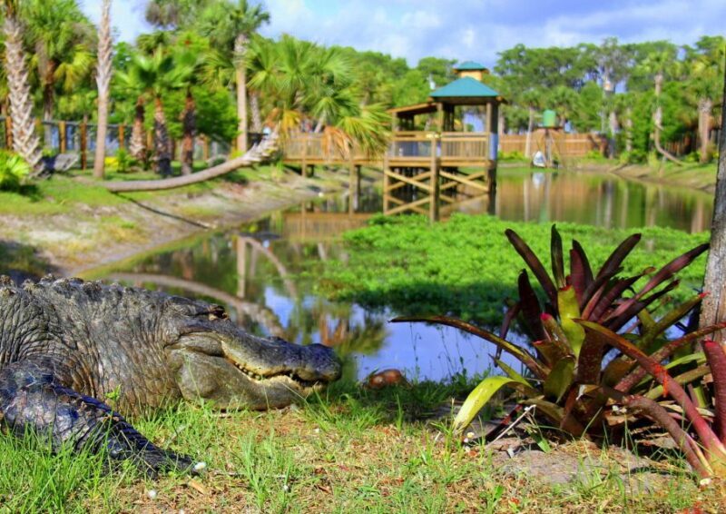 Orlando: Wild Florida Airboat Ride with Transport & Lunch - Key Points