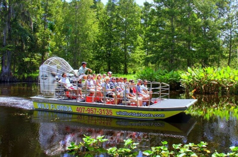 Orlando: Wild Florida Airboat Ride with Transport & Lunch - A Closer Look at What You Can Expect