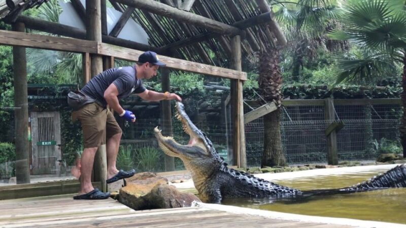 Orlando: Wild Florida Park Ticket and Gator Shows - What is Wild Florida About?