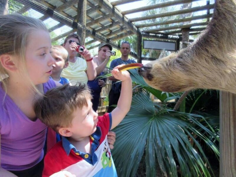 Orlando: Wild Florida Park Ticket and Gator Shows - Tour Logistics and Practical Tips