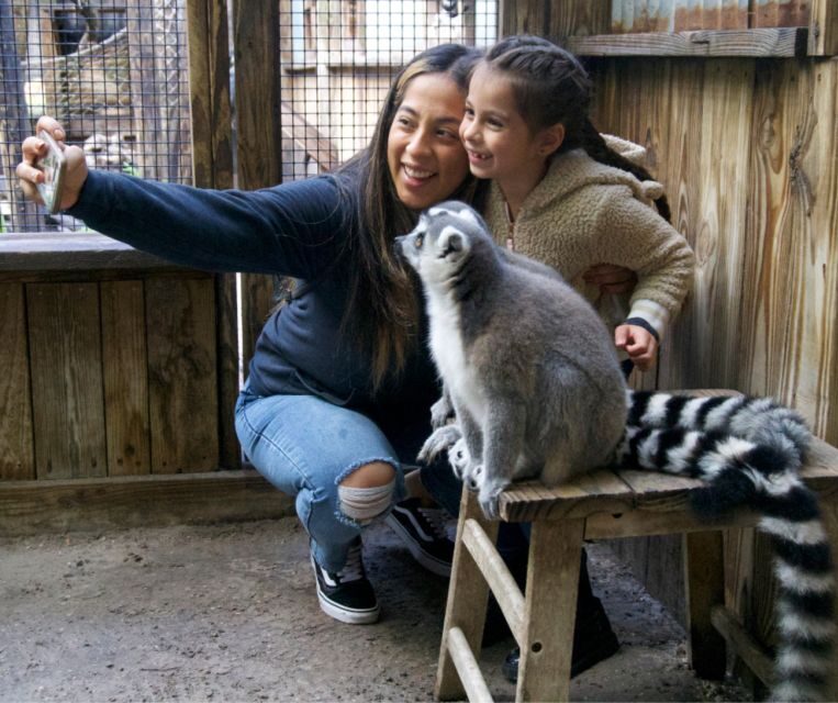 Orlando: Wild Florida Park Ticket and Gator Shows - What Do the Reviews Say?