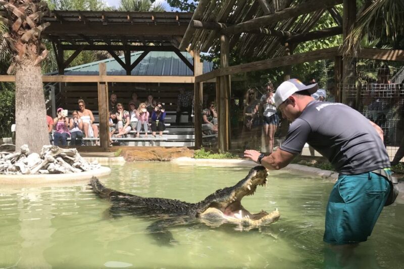 Orlando: Wild Florida Park Ticket and Gator Shows - Final Thoughts: Who Is This Tour Best For?