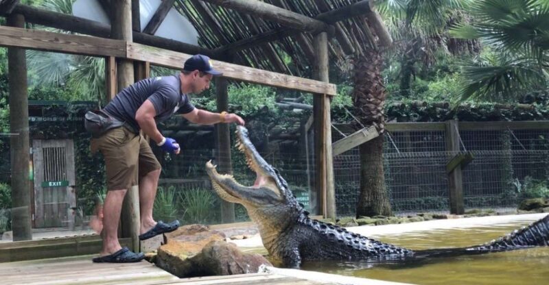 Orlando: Wild Florida Park Ticket and Gator Shows - An Authentic Look at Wild Florida: What’s on Offer
