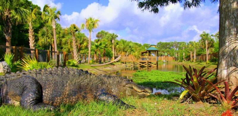 Orlando: Wild Florida Park Ticket and Gator Shows - What Travelers Are Saying
