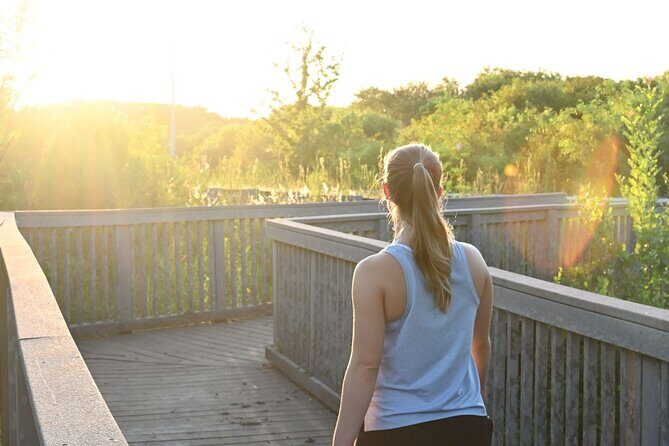 Orlando Wildlife Safari Hike with a Wildlife Photographer - Introduction to the Experience