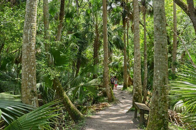 Orlando Wildlife Safari Hike with a Wildlife Photographer - Value and Considerations