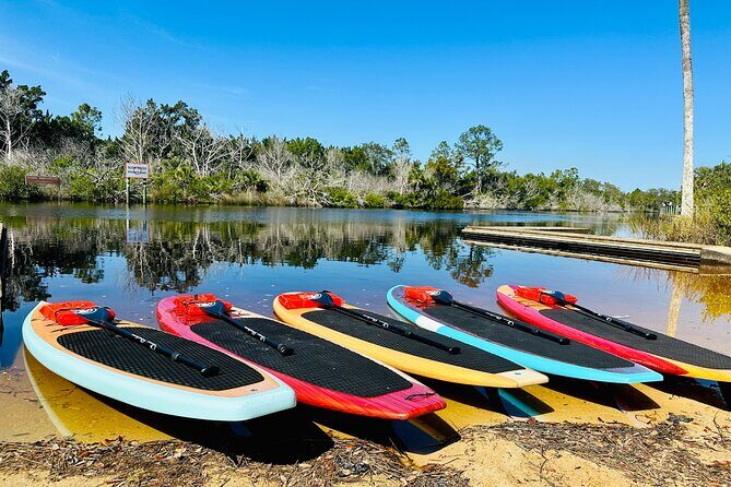 Ormond Beach Manatee and Nature Tour Kayaking or Paddle Boarding - A Closer Look at the Tour Experience