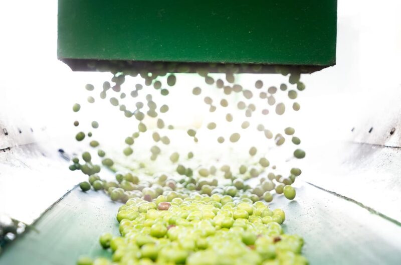 "Oro Bailén": Explore the Oil Mill + Tasting - Location and Logistics