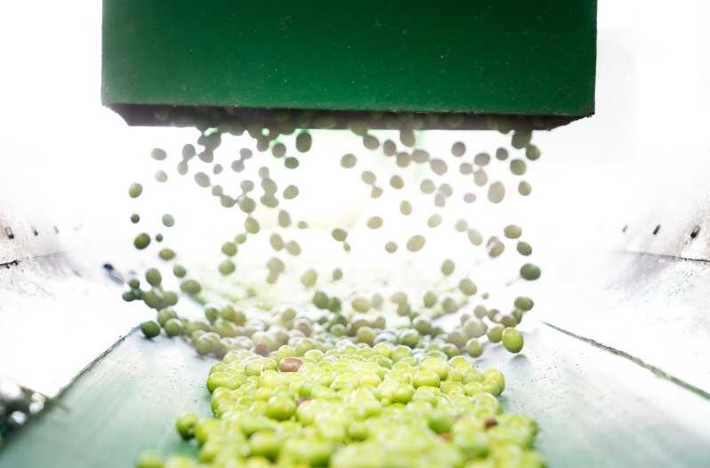 "Oro Bailén": Explore the Oil Mill + Tasting - The Value of the Experience