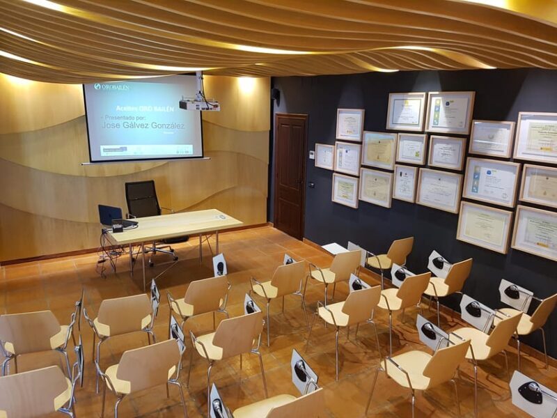 "Oro Bailén": Explore the Oil Mill + Tasting - Customer Feedback: Authentic Insights