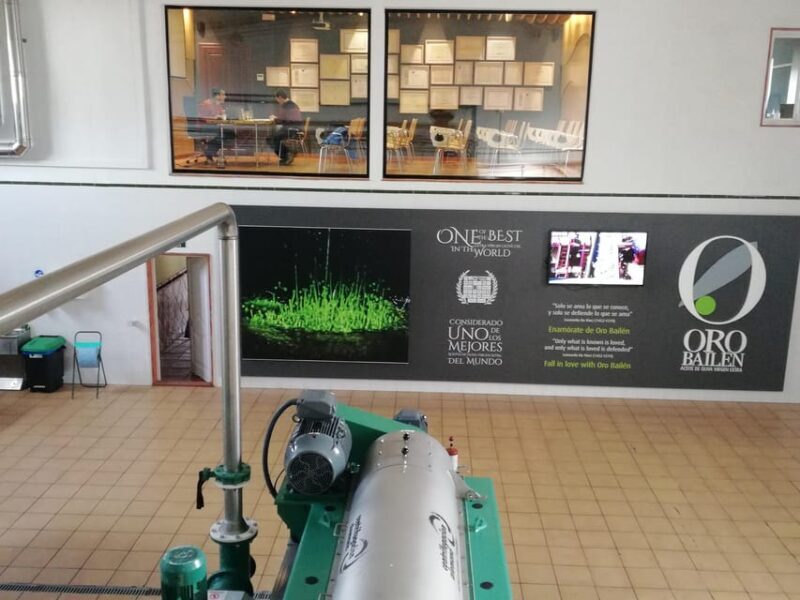 "Oro Bailén": Explore the Oil Mill + Tasting - Practical Tips for Visitors