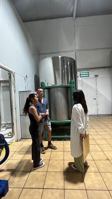 "Oro Bailén": Tour of Oro Bailen Grove + Mill + Tasting - Key Points