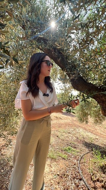 "Oro Bailén": Tour of Oro Bailen Grove + Mill + Tasting - A Detailed Look at the Tour Experience
