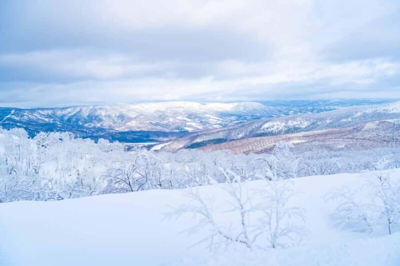 Orofure Pass Half-day Snowshoeing Tour - FAQs