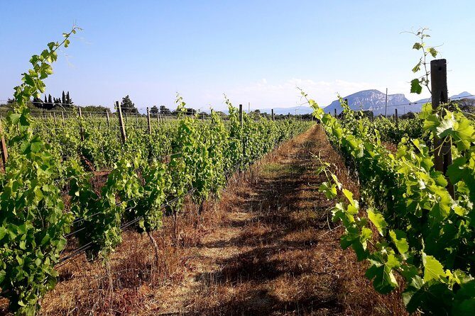 Orosei - 4x4 Tour & wine tasting - An Honest Look at the Experience