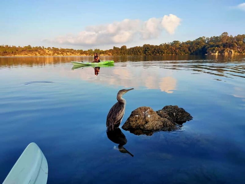 Orosei: Guided Kayak Tour of the Biderosa Oasis at Sunset - Final Thoughts