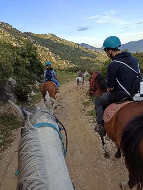Orosei: horse riding on the beach - Experience Breakdown and What to Expect