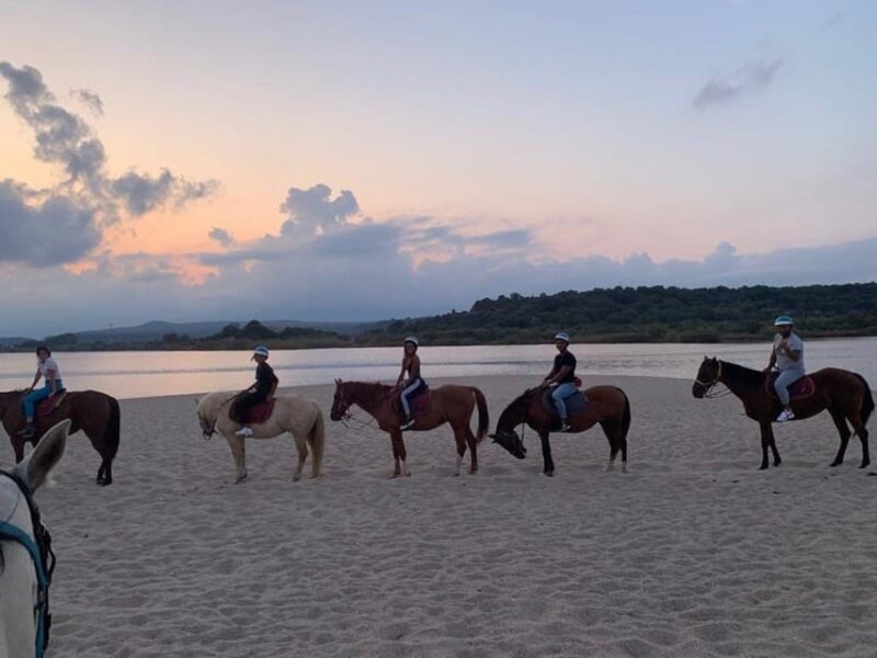 Orosei: horse riding on the beach - Practical Tips for Your Ride