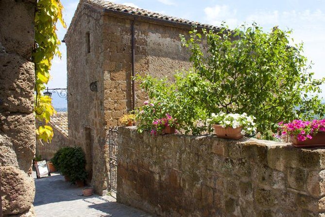 Orvieto & Civita di Bagnoregio Port Tour Driver Only Self Touring - Analyzing the Value