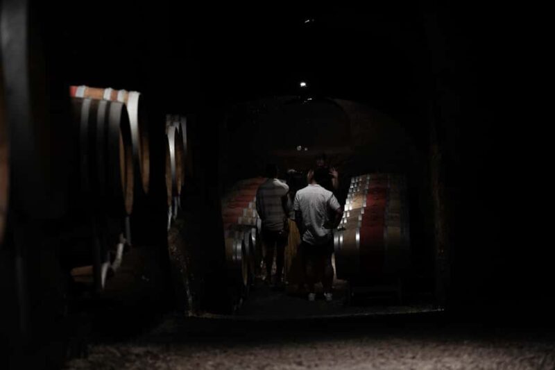 Orvieto: Classic Wine Tasting at Madonna del Latte - An Introduction to Madonna del Latte: What makes it special?