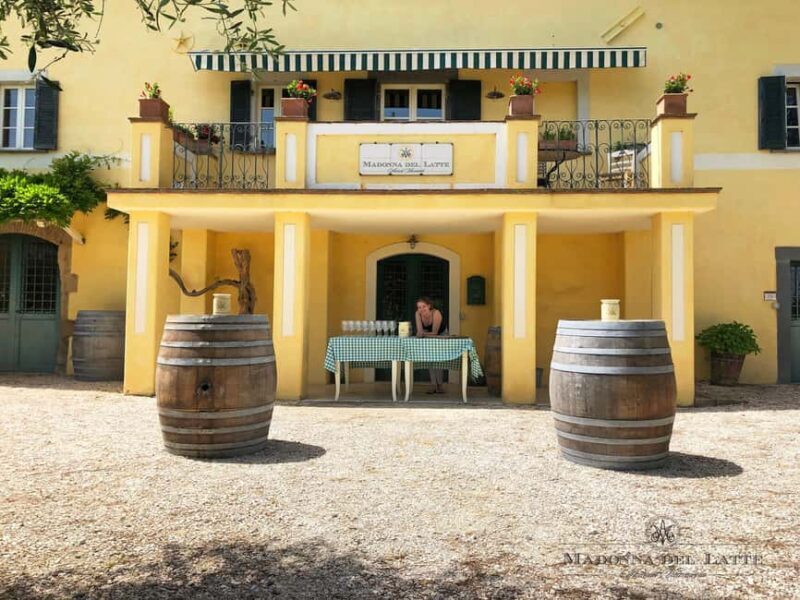 Orvieto: Classic Wine Tasting at Madonna del Latte - Atmosphere and Experience: What Travelers Say