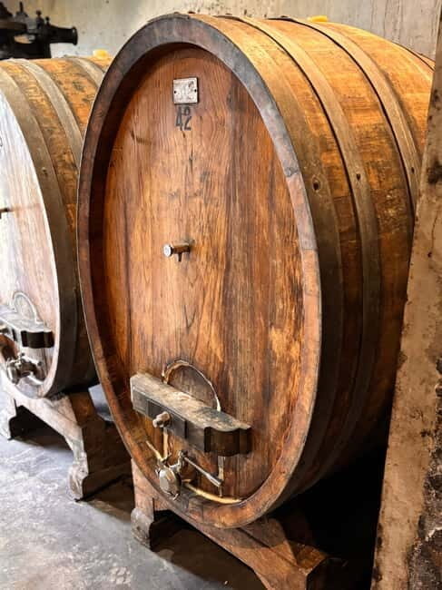 Orvieto: Guided 2-hour Winery Tour with Wine Tasting - A Taste of Umbria: Your Guide to the Orvieto Wine Tour