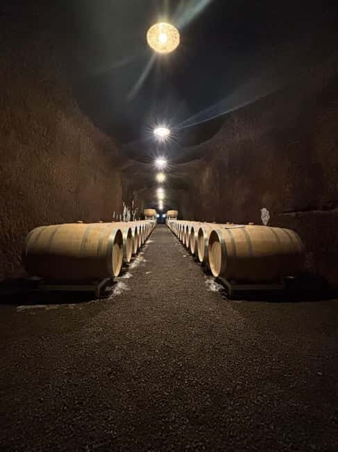 Orvieto: Guided 2-hour Winery Tour with Wine Tasting - Key Points