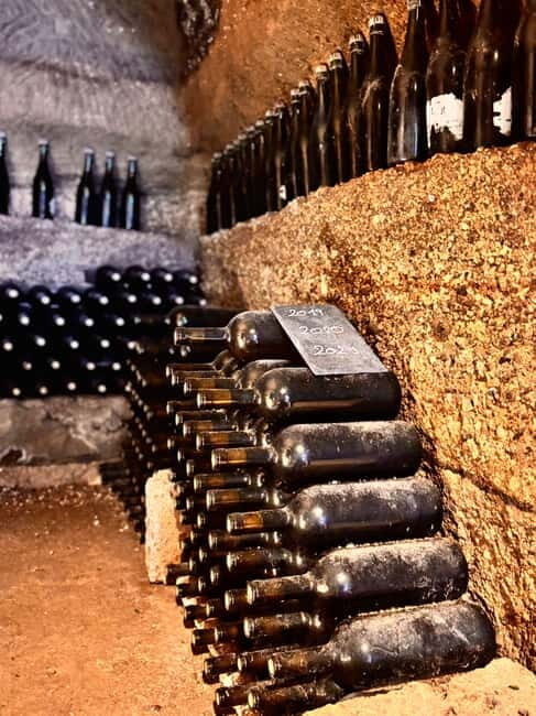 Orvieto: Guided 2-hour Winery Tour with Wine Tasting - In-Depth Review: The Experience from Start to Finish