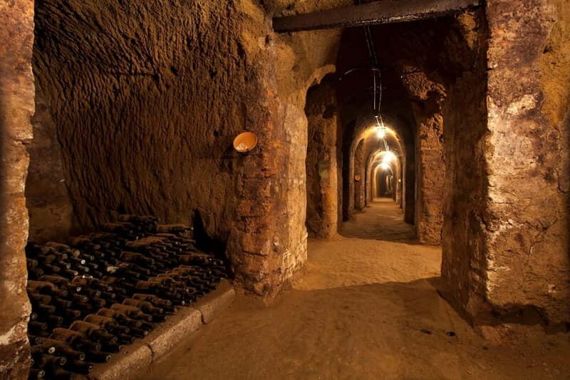 Orvieto: Tour and wine tasting at Tenuta Le Velette - Beyond the Winery: Why It’s Worth It