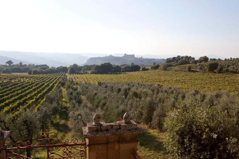 Orvieto: Tour and wine tasting at Tenuta Le Velette - FAQs