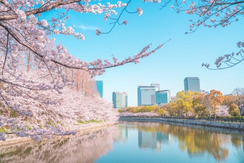 Osaka: 1-Day Private Customizable Trip by Car - Experience Overview: Why Choose This Tour?