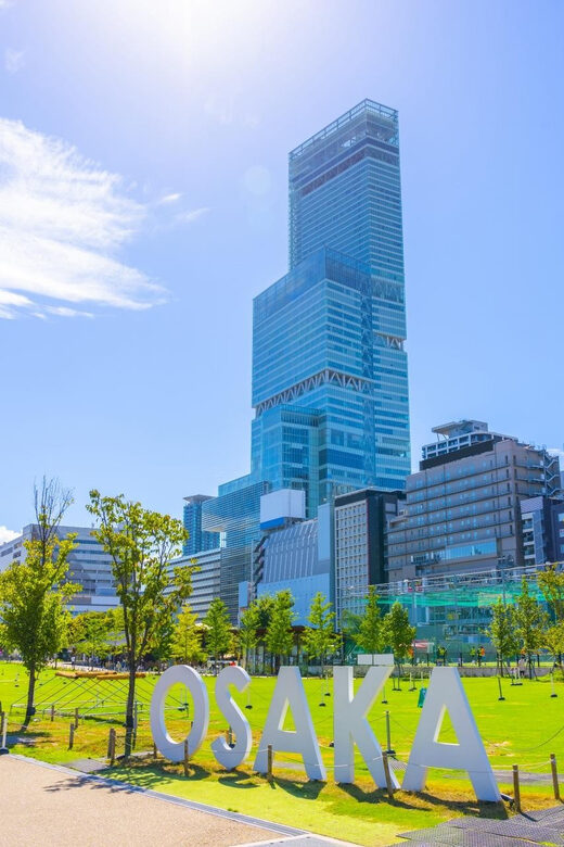 Osaka: 1-Day Private Customizable Trip by Car - Why This Tour Offers Great Value