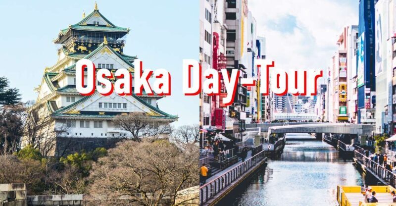 Osaka: 10-hour Customizable Tour with Private Car - Key Points