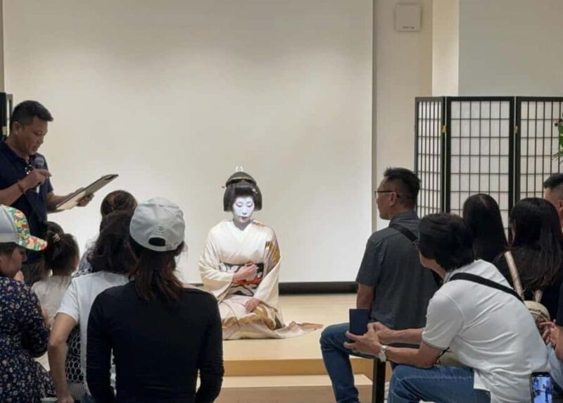 Osaka: 6hr Private Guided Tour with Geisha Performance - Key Points