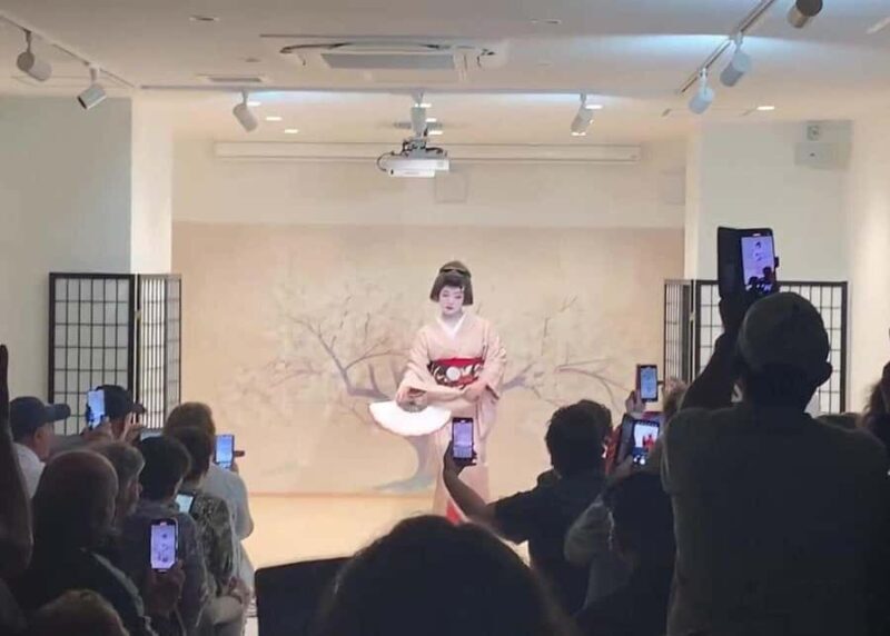 Osaka: 6hr Private Guided Tour with Geisha Performance - Why This Tour Stands Out