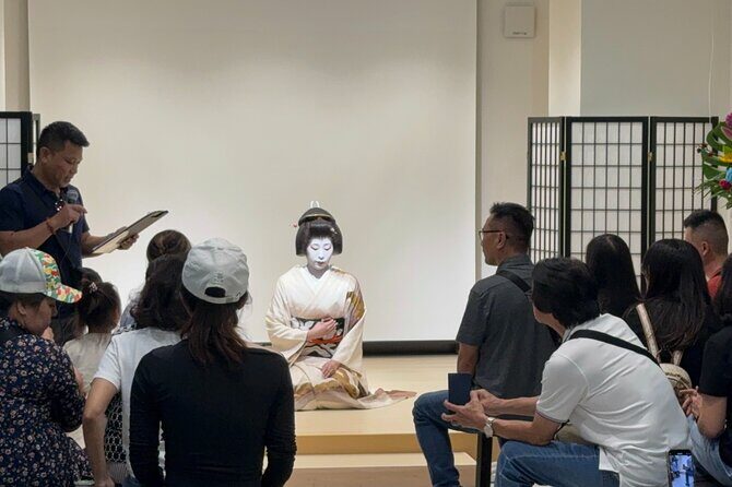 Osaka 6hr Private Guided Tour with Geisha Performance - A Detailed Look at the 6-Hour Osaka Tour