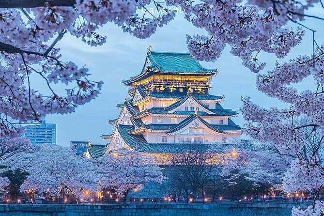 Osaka 8hr Highlights Private Tour with Licensed Guide - What’s Included and How It Works