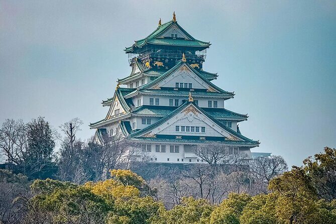 Osaka 8hr Highlights Private Tour with Licensed Guide - Accessibility and Duration