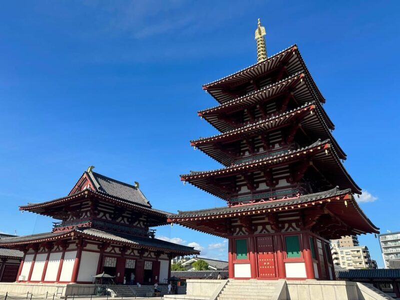 Osaka: A Private Guided Walking Tour of 5 Must-See Sights - An In-Depth Look at the Tour Experience