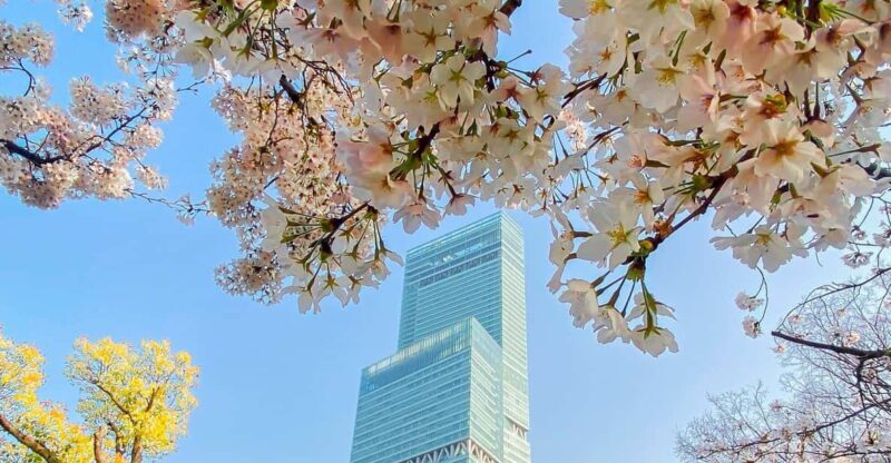 Osaka: Abeno Harukas 300 Observatory E-Ticket - Pricing and Value