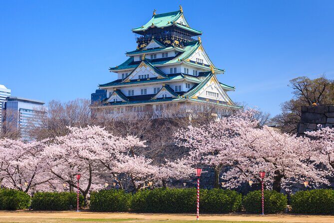 Osaka and Kansai Private Customized Day Tour - Final Thoughts: Who Will Love This Tour?